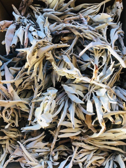 Loose White Sage Clusters – Beautiful Boho - Crystal Healing Jewellery ...